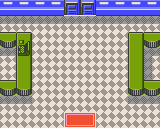 Route 39 Rugged Road Gate - Pokémon, Items & Trainers | Polished ...